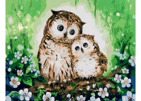 Tablou (30*40/cifre) Bufnite KTL803