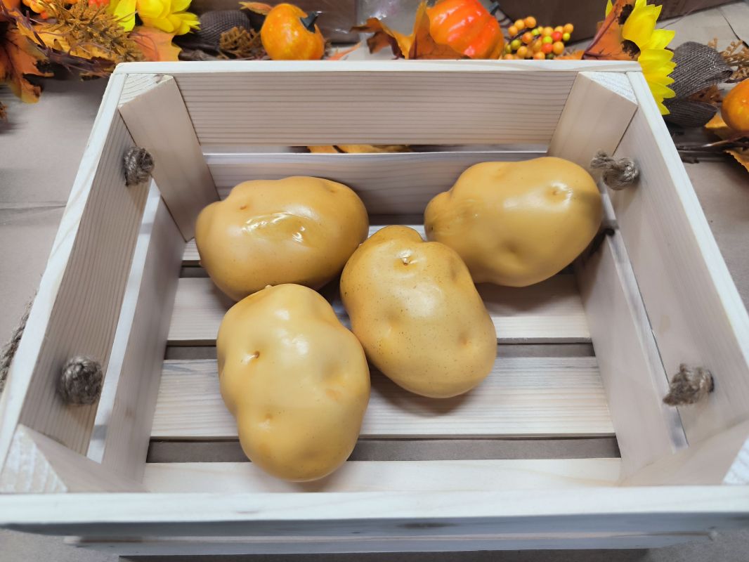 Leguma cartof CM417 CM417