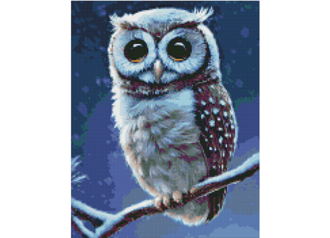 Tablou cu DIAMANTE 40x50 Bufnita de padure AMO7413