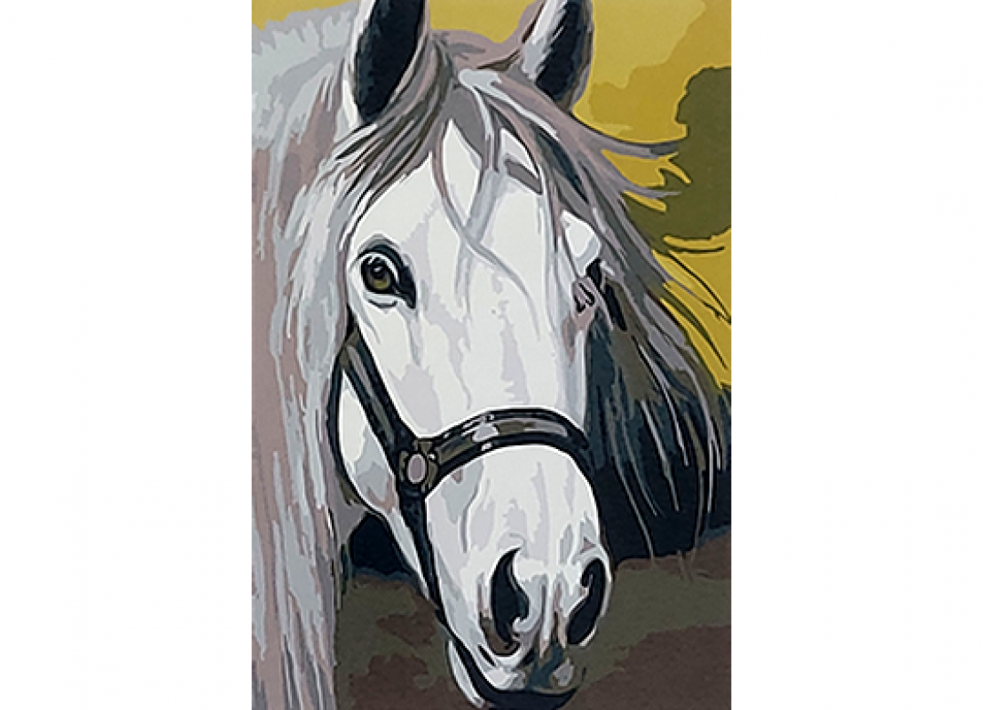 Tablou (20*30/cifre) Cal RAS20650